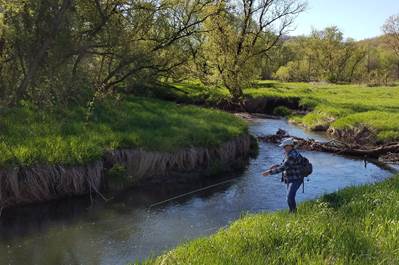 Lessons from the Kickapoo: Radical Conviviality in Community ...