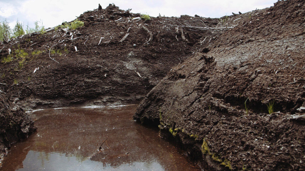 Resist. Restore. Revive: The frontline communities sowing the seeds of ...